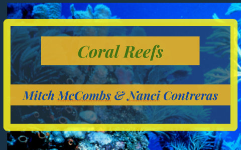 Coral Reefs by Mitch McCombs on Prezi