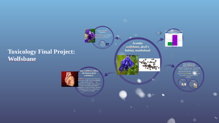 Toxicology Final Project: Wolfsbane by Wendy Parisi on Prezi