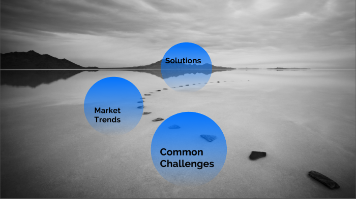 3.1 Características de las plataformas y soportes virtuales by norma ...