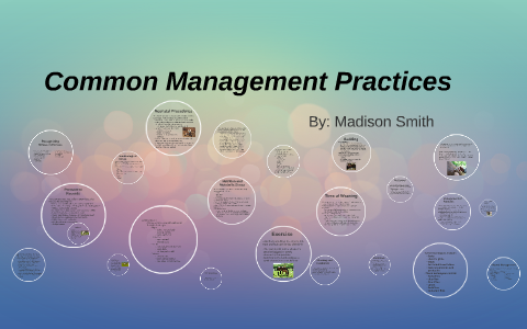 Common Management Practices by madison smith on Prezi