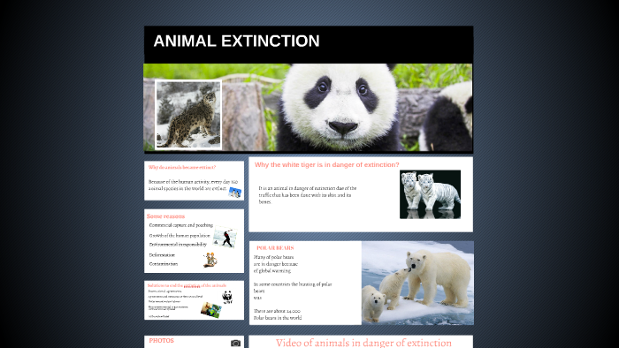 Why do animals become extinct? by on Prezi