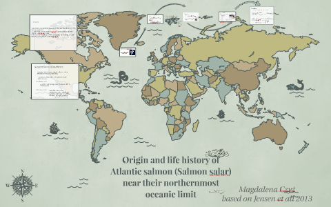 Origin and life history of Atlantic salmon *Salmon salar) ne by ...