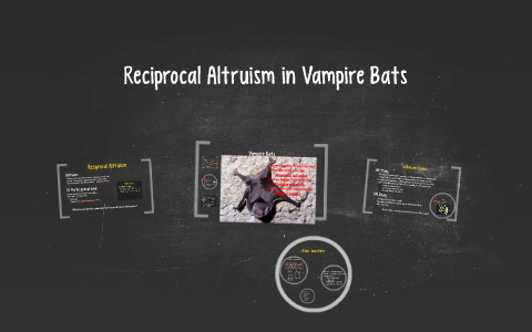 Reciprocal Altruism in Vampire Bats by on Prezi