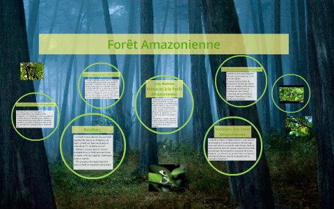 La forêt amazonienne by Maggie McInnis on Prezi