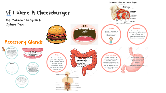 If I Were A Cheeseburger by Makayla Thompson on Prezi