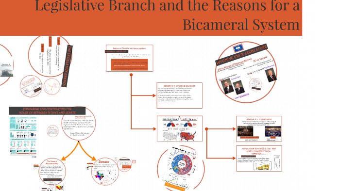 Congress and the reasoning behind the bicameral system. by Bryce Strampe