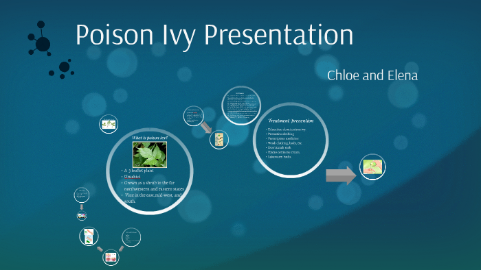 Poison Ivy Presentation by chloe topper on Prezi