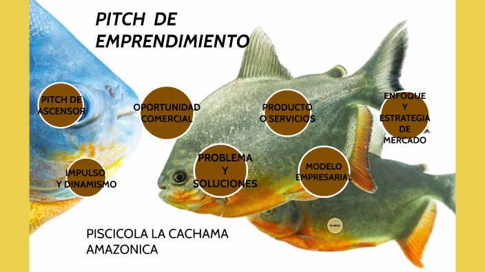 PISCICOLA LA CACHAMA AMAZONICA by eliana posada on Prezi