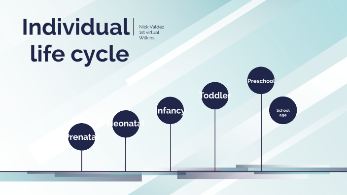 Individual life cycle by Nick Valdez on Prezi