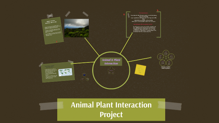 The Animal Plant Interaction by Dennis Argueta on Prezi