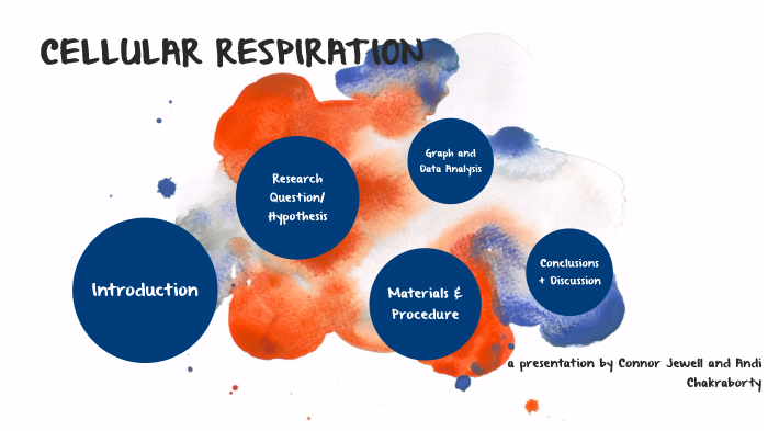 Cellular respiration lab by Connor Jewell on Prezi