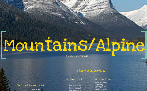 Mountain/Alpine Biome by Wade Johnson on Prezi