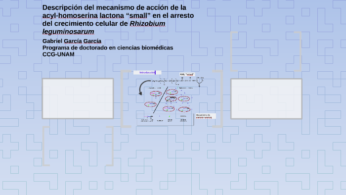 Descripción del mecanismo de acción de la acyl-homoserina-la by Gabriel ...