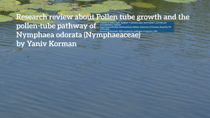 Pollen tube growth and the pollen-tube pathway of by yaniv carmon on Prezi