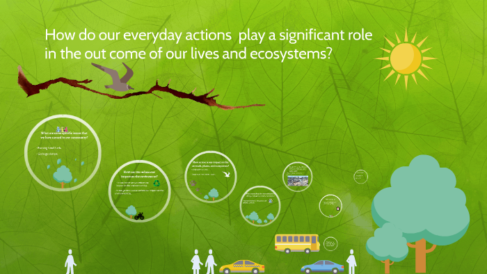 How do our everyday lives play a significant role by sophie chisholm on ...