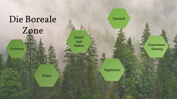 Die boreale Zone by Elisabetta Schnugg on Prezi