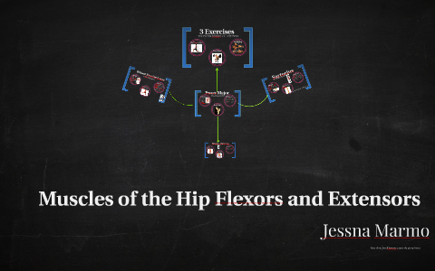 Muscles of the Hip Flexors and Extensors by jessna marmo on Prezi