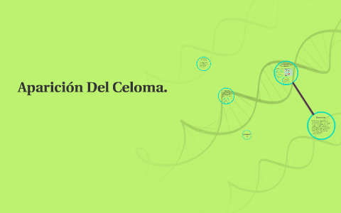 Aparicion Del Celoma. by juliana vasquez on Prezi