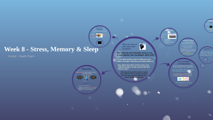 Stress, Memory & Sleep by Isaac Hunter on Prezi