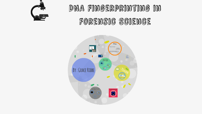 DNA Fingerprinting in Forensic Science by Grace Ribbe on Prezi