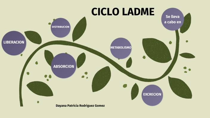 CICLO LADME by Dayana Rodriguez on Prezi