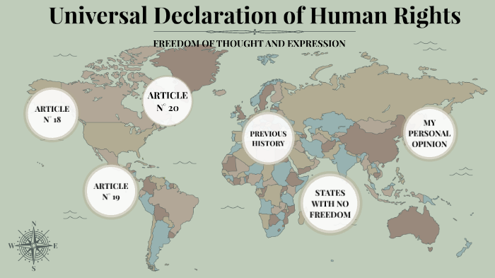 UNIVERSAL DECLARATION OF HUMAN RIGHTS by Giulia Favero on Prezi