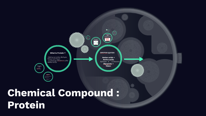 Chemical Compound : Protein by Faris Faisal on Prezi
