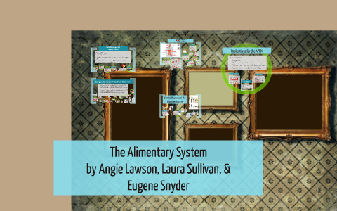The Alimentary System by on Prezi