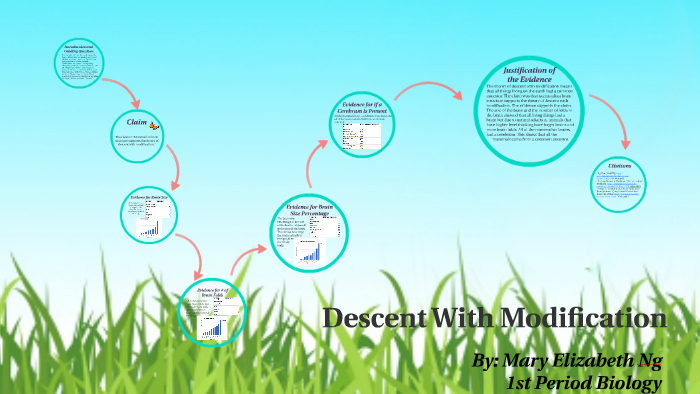 Descent With Modification by Mary Beth Ng on Prezi