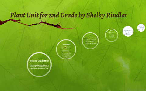 Plant Unit for 2nd Grade by Shelby Rindler on Prezi