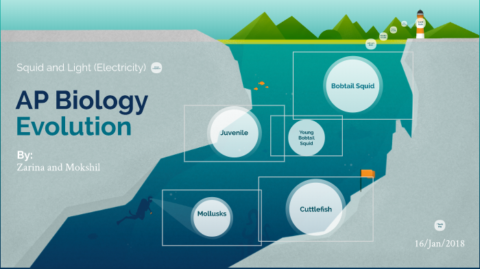 AP Biology Evolution Presentation by Zarina S. on Prezi