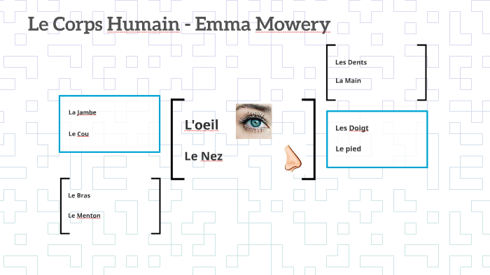 Body Parts - Emma Mowery by emma mowery on Prezi