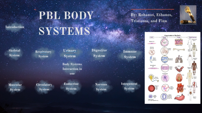 PBL BODY SYSTEMS by Arunabh Phukan on Prezi
