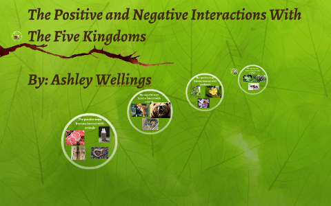 The Positive and Negative interactions between humans by Ashley ...
