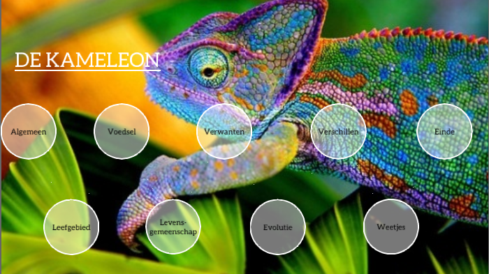 Bio PO by Sarah Kraak on Prezi