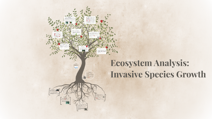 Ecosystem Analysis: Invasive Species Growth by Erin Berg