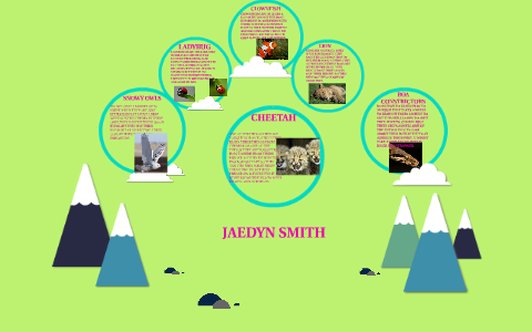 JAEDYN SMITH by Steven Lew on Prezi