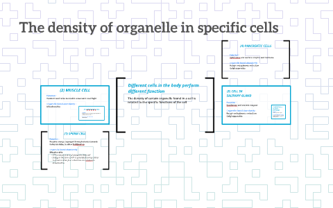 The density of organelle in specific cells by nadzto chan on Prezi
