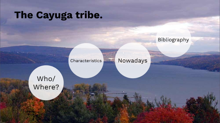 The Cayuga tribe by Ingrid Prieto on Prezi