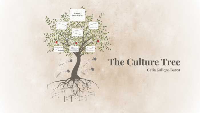 The culture Tree by Celia Gallego on Prezi