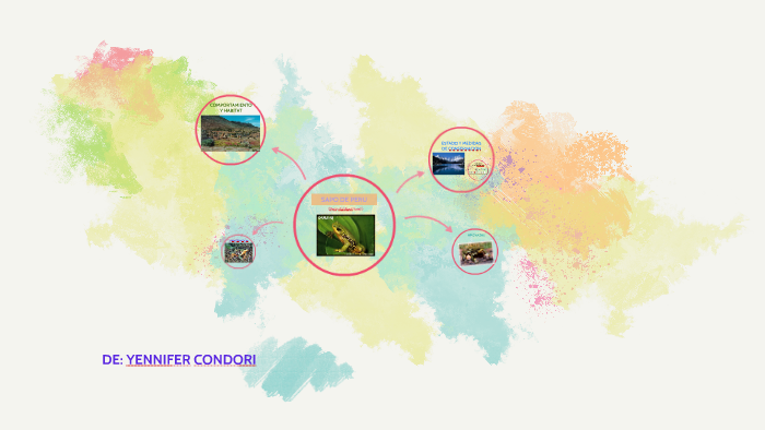 SAPO DE PERU by yennifer condori on Prezi