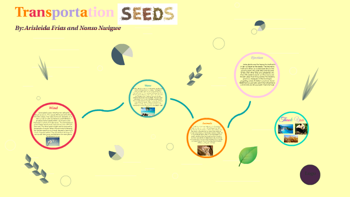 Transportation Seeds by Nonso Nwigwe on Prezi