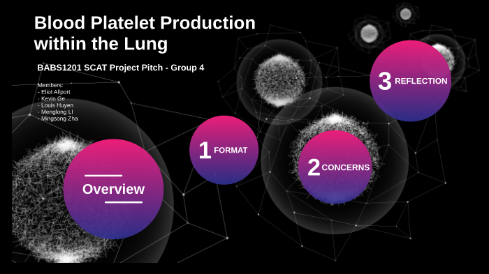 Platelet Creation within the Lungs by kevin ge on Prezi