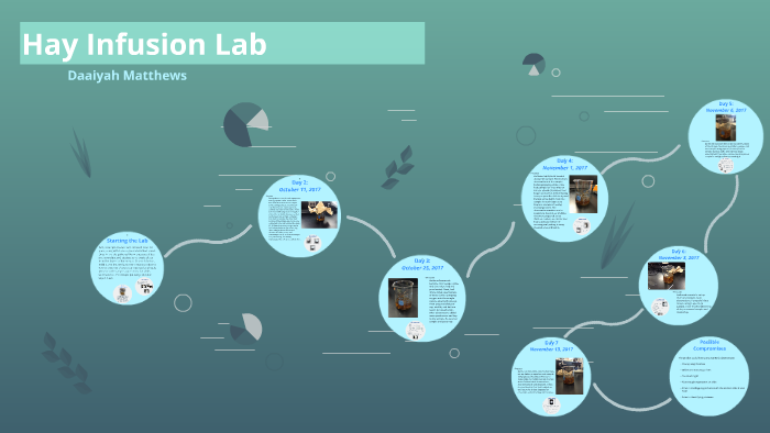 Hay Infusion Lab by Dia Matthews on Prezi