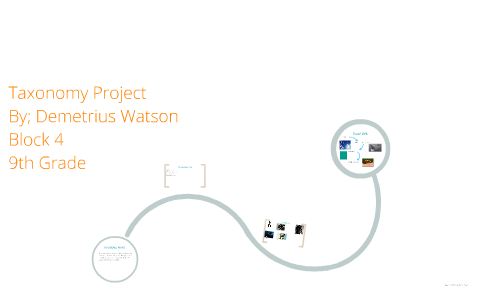 Taxonomy Project by Demetrius Watson on Prezi