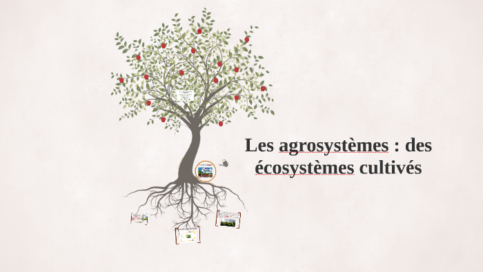 Les agrosystèmes : des écosystèmes cultivés by Maëva Hanon on Prezi