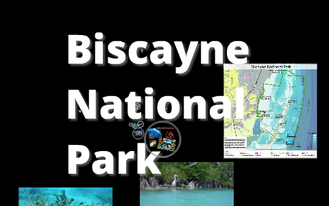 Geology Project_Biscayne National Park by Julia Gilinsky on Prezi