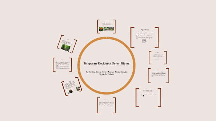 Temperate Deciduous Forest Biome Presentation by Jordan Dasch on Prezi