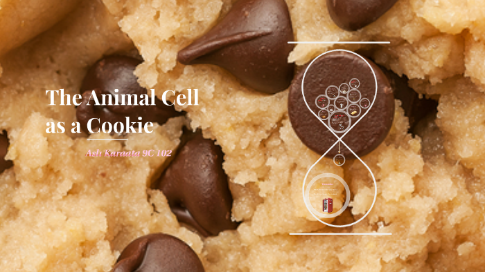 The Animal Cell as a Cookie by Aslı Karaata on Prezi