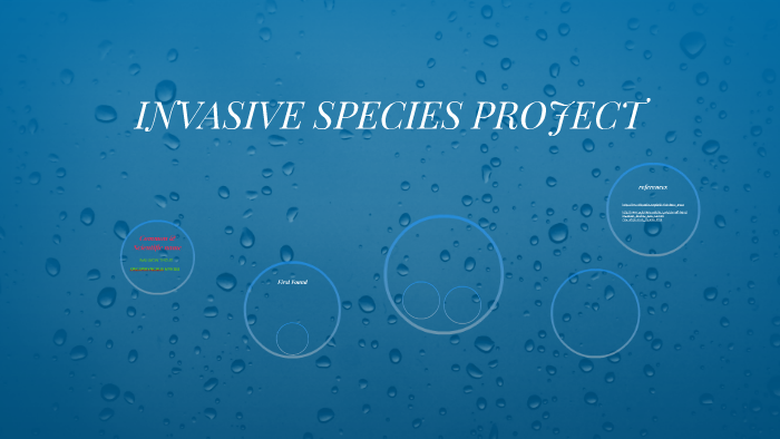 RAINBOW TROUT by adam crowder on Prezi